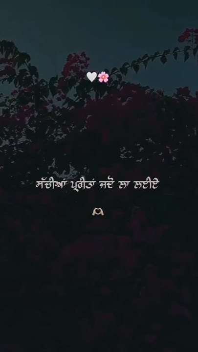 New Punjabi Status | Punjabi Love Status | New Punjabi Song 2025 | love Status Punjabi # ...