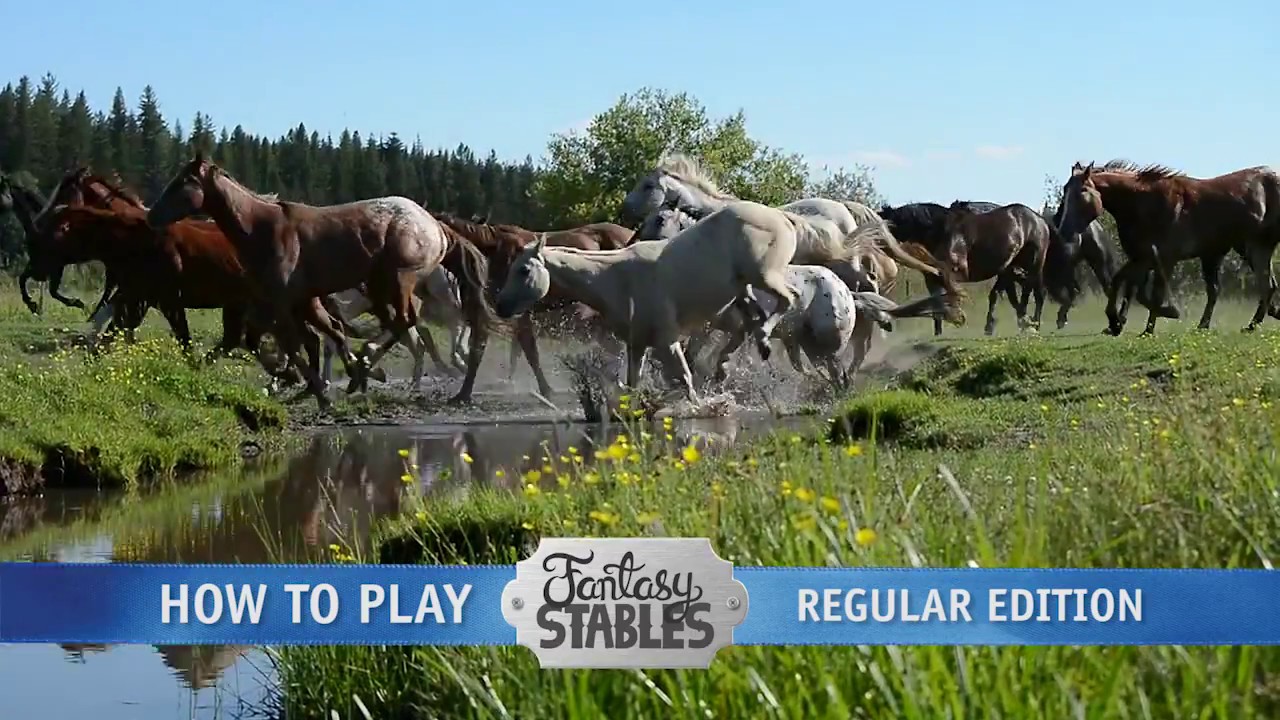 How to Play Fantasy Stables: Regular Edition - YouTube
