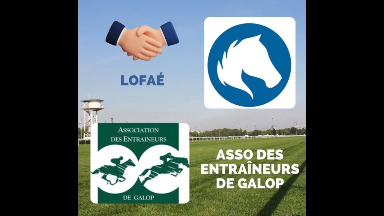Lofaé, un indispensable pour les entraîneurs de galop. L'interview de ...