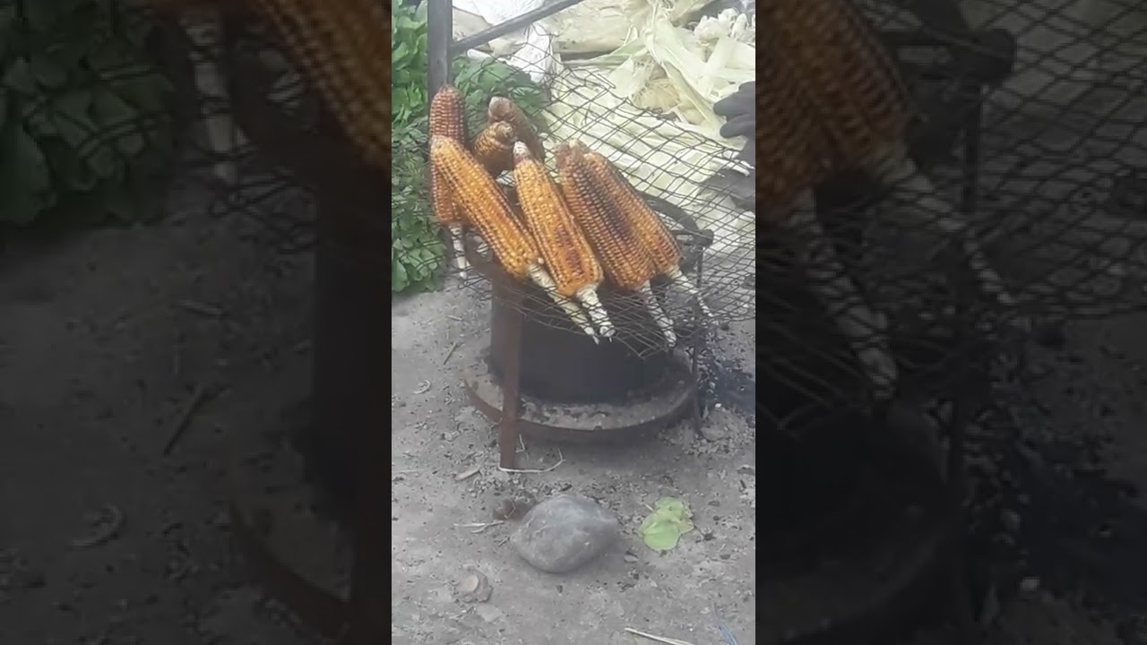 Indian Roasted Corn on the Cob - Street Style Butta or Bhutta Recipe ...