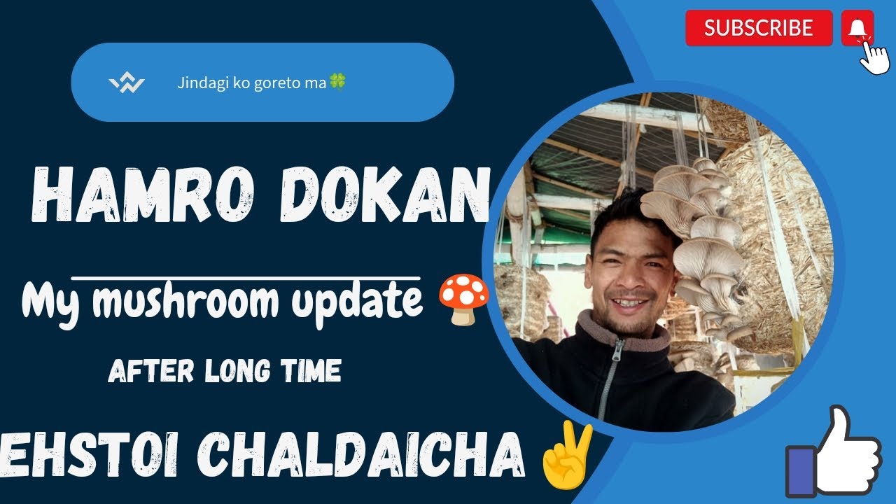 MY MUSHROOM UPDATE🍄AND HAMRO DOKAN MARADONA MEMORIAL CUP⚽ 2023 ghoom ...