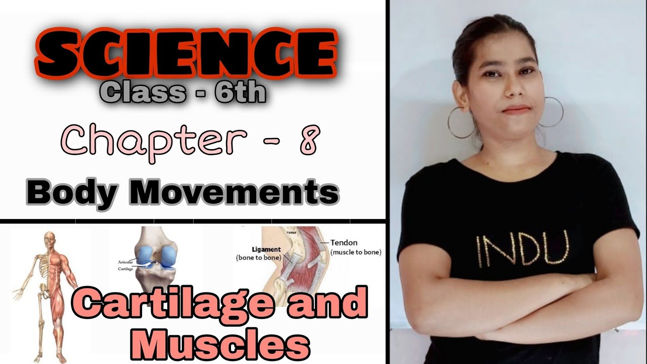 Chapter - 8 Body movements || Cartilage and muscle || ( Ligaments and ...