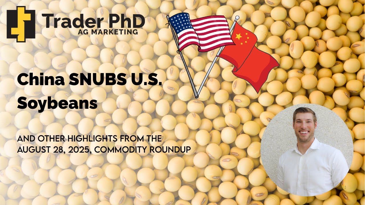 The Commodity Roundup - August 28, 2025 - YouTube