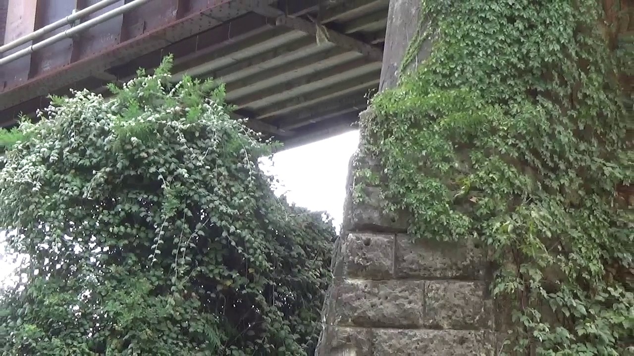 "Shadowy flowers of Orcus" (Doria-Finnigin's Wake) - YouTube