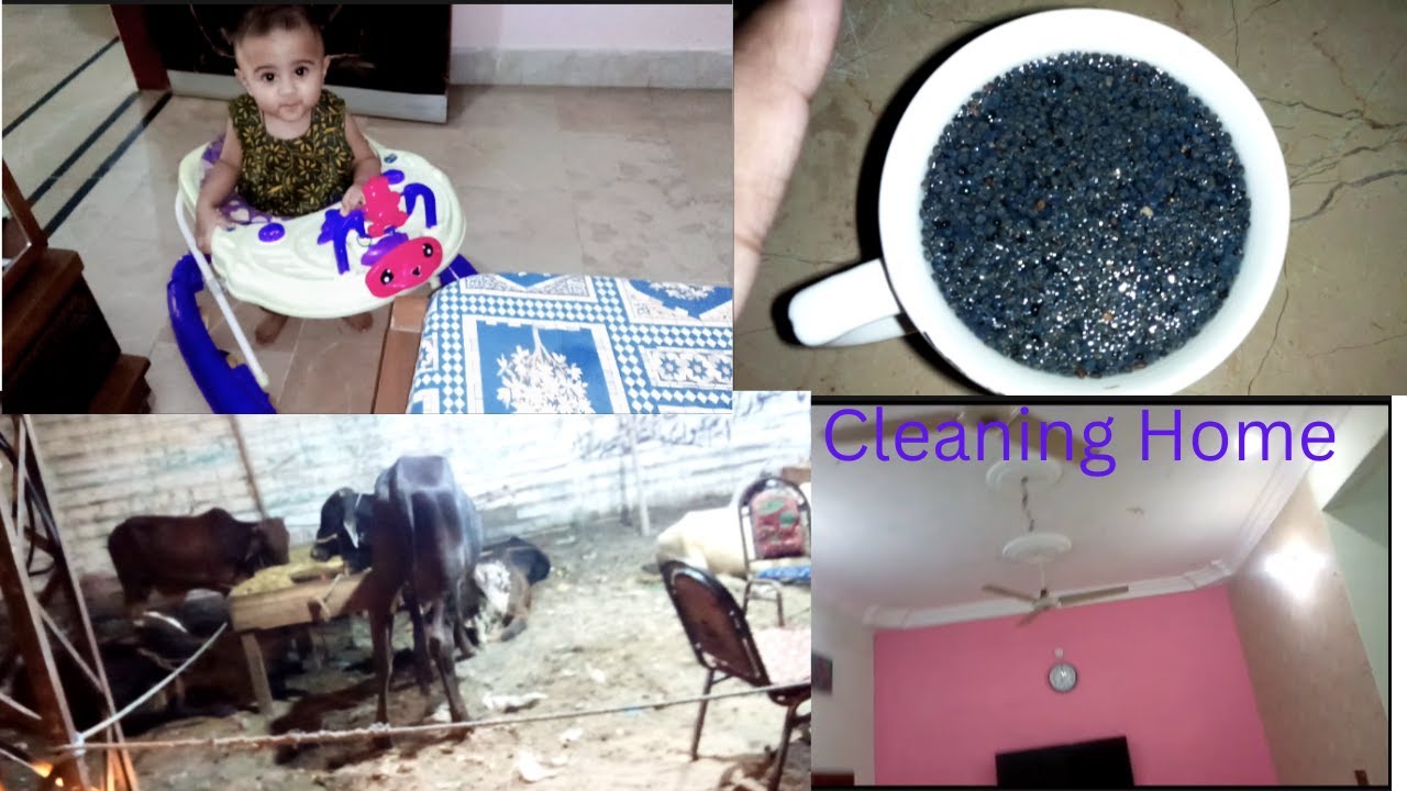 Eid ki Tayariya Ghar k Safaiyan | Rameen k cows dkhane lekr Gai | vlog ...