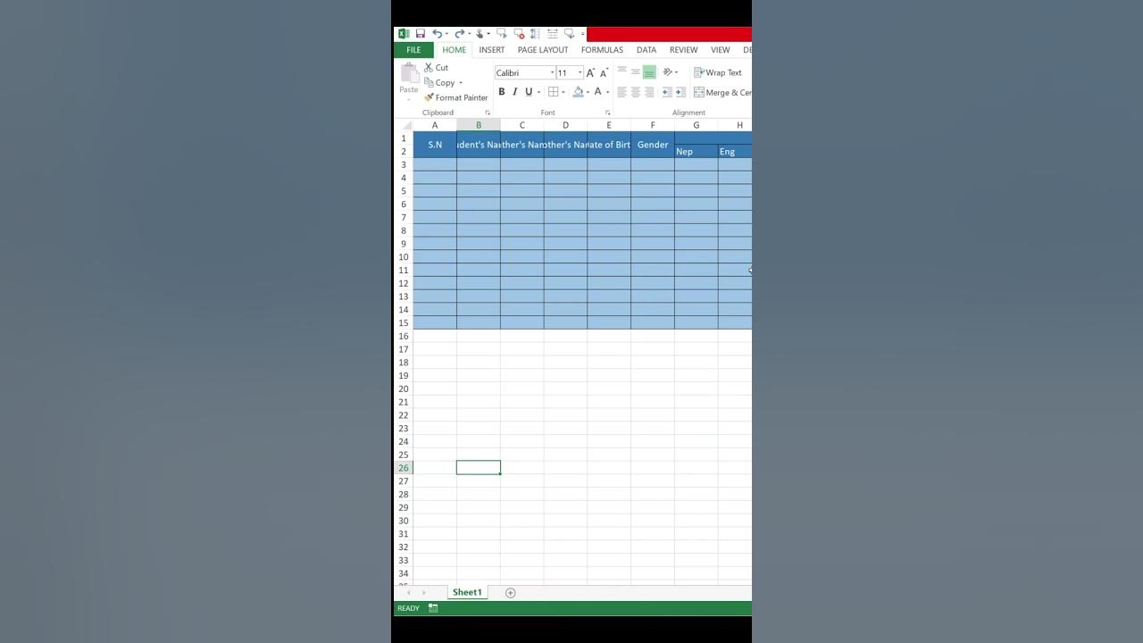 How to Auto fit specific Columns in Excel using VBA || Automatic Autofit Columns in Excel - YouTube