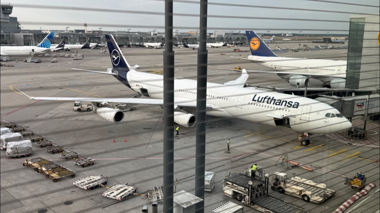 FLIGHT FROM HELL: Lufthansa Economy Class Frankfurt to Raleigh-Durham ...