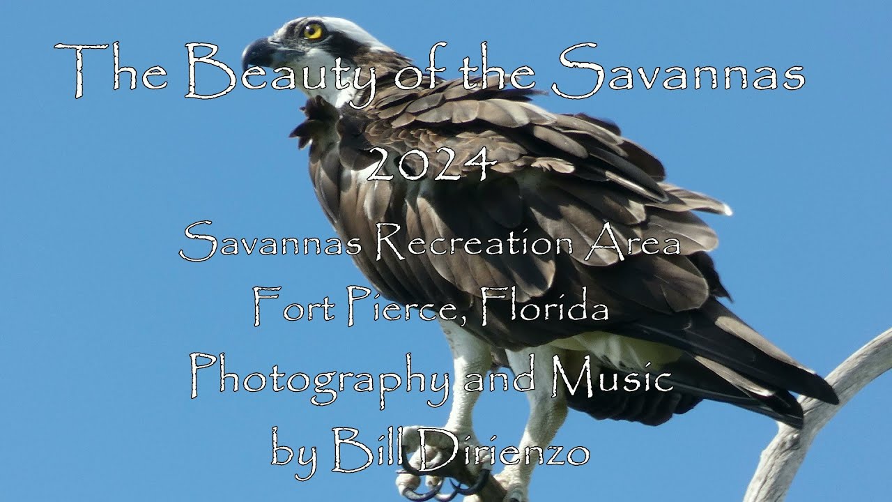 The Beauty of the Savannas/ Photgraphy and Music by Bill Dirienzo - YouTube