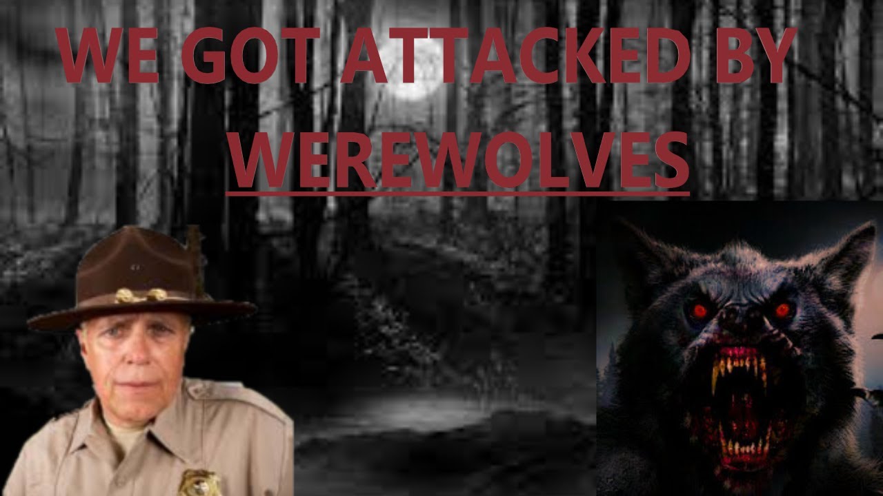 The Terrifying Truth: Campers' Werewolf Nightmare in National Park ...