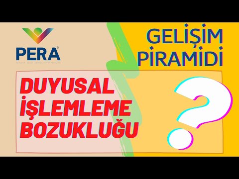 Duyusal İşlemleme Bozukluğu
