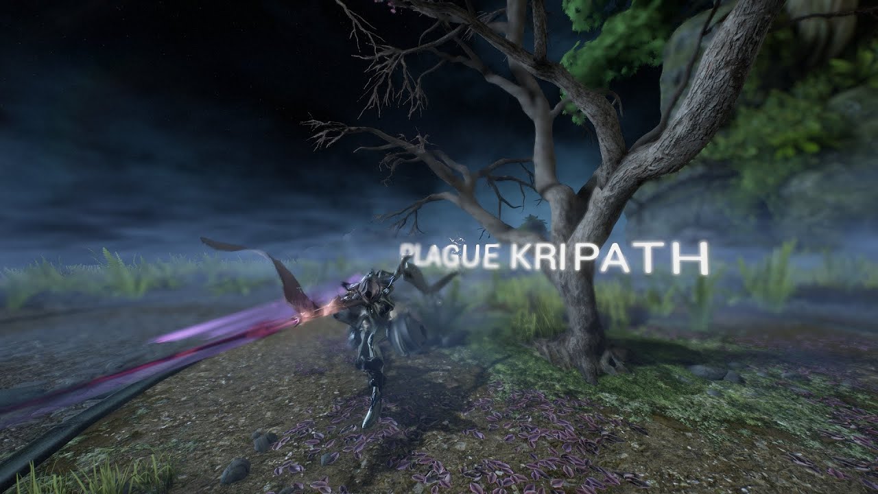 PLAGUE KRIPATH rapier build WARFRAME - YouTube