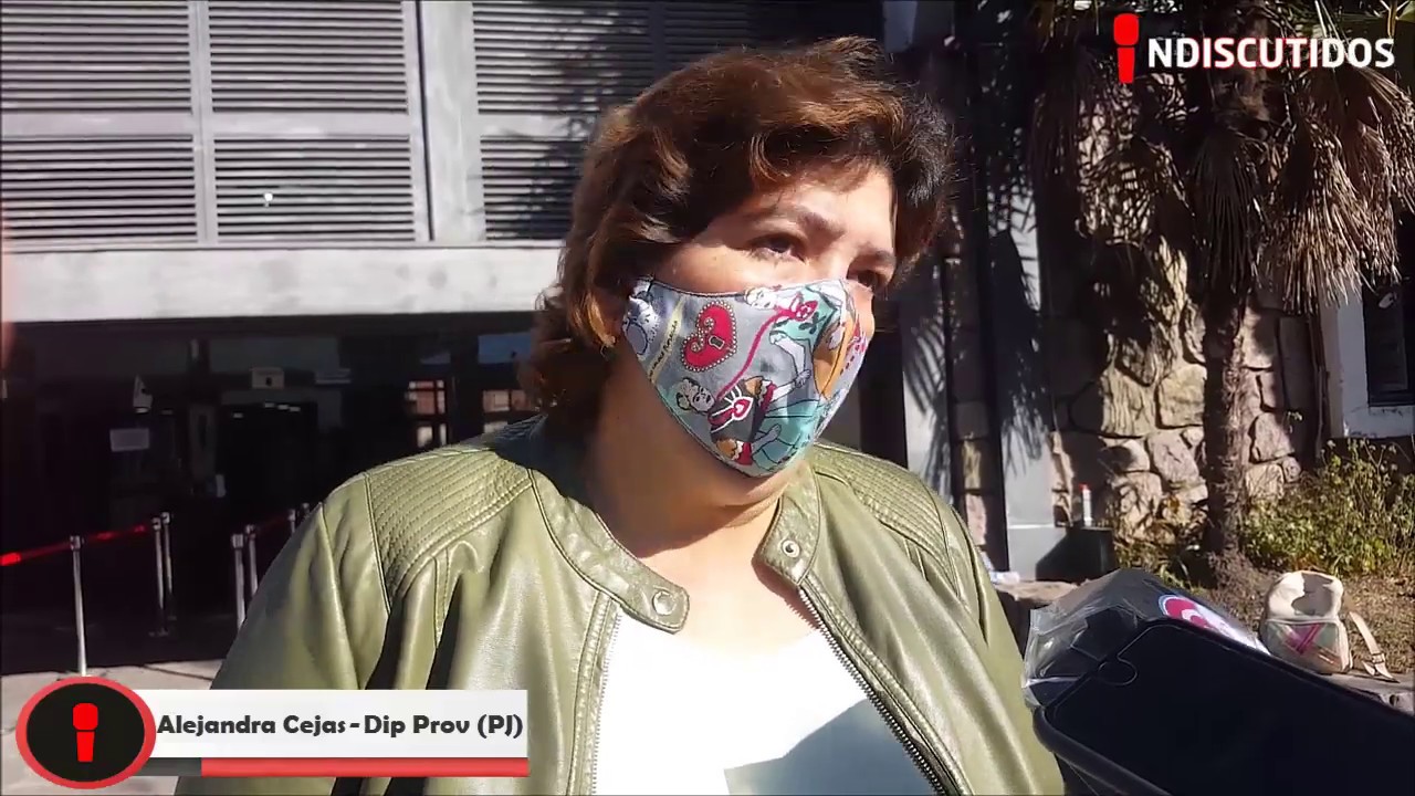 Alejandra Cejas (PJ): "Se ha resuelto desde el bloque Justicialista ...
