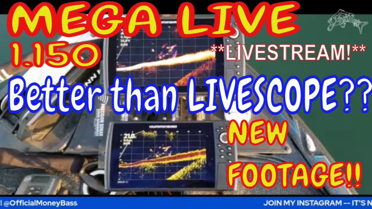 MEGA LIVE 1.150 better than LIVESCOPE?? "On the water results" - YouTube