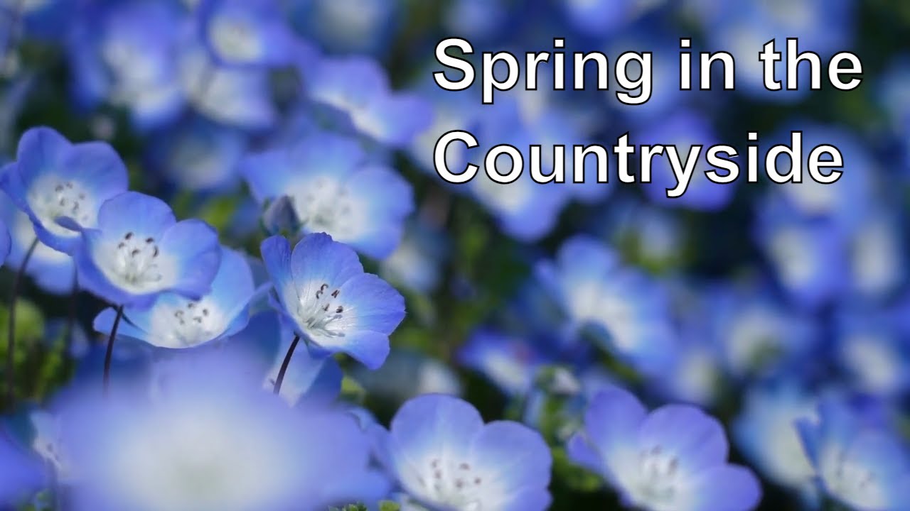 Nature relaxation - Spring in the countryside - YouTube