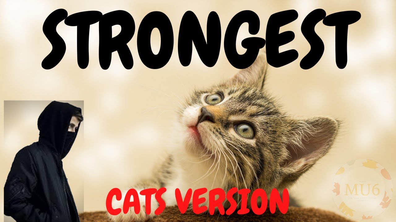 Cats Sing Strongest [Alan Walker Mix] - YouTube