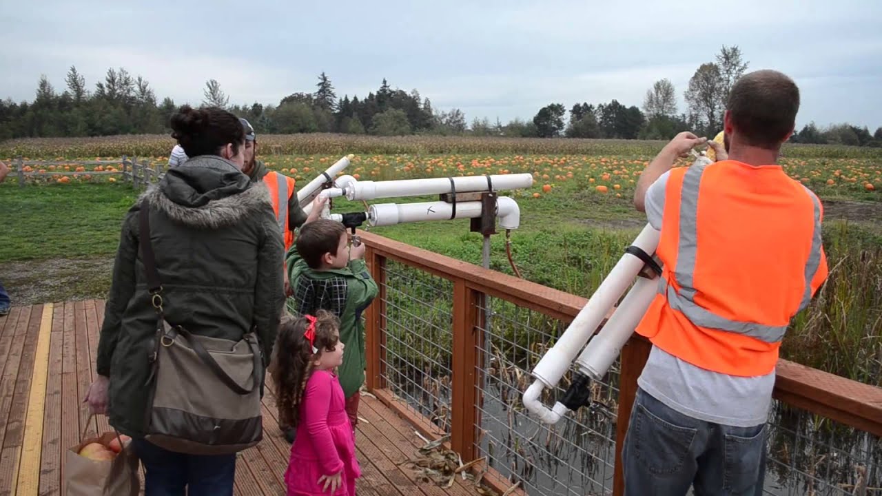 Corn Cannon - YouTube