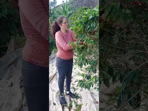 mulher #brutella #beutella #vidanaroça