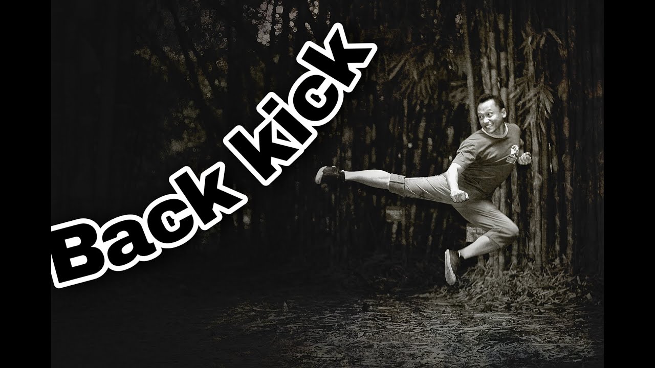 How to Do Back Kick ,Taekwondo Training, back kick training at home ...