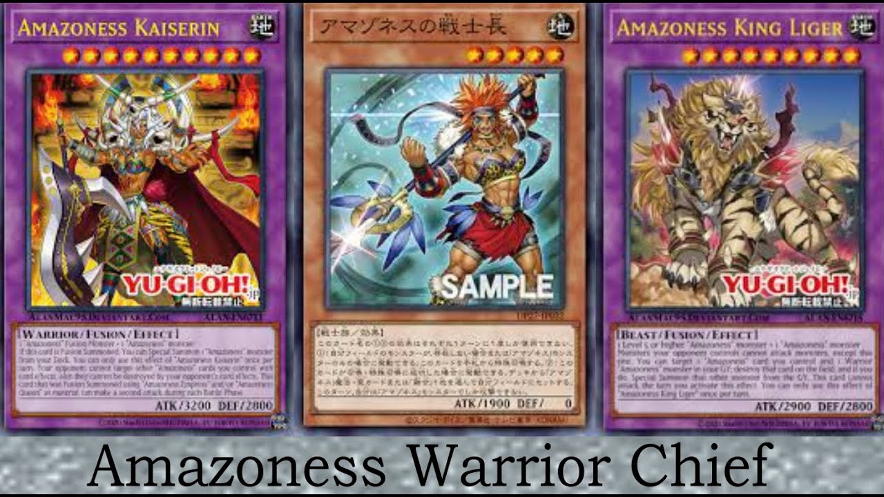 Amazoness Warrior Chief - EdoPro - YouTube