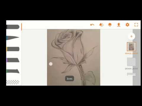 Adobe illustrator Rose Part-1 - YouTube