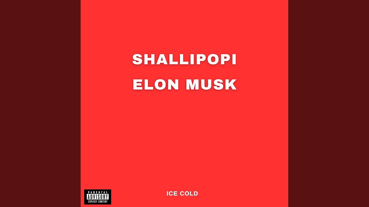Shallipopi Elon Musk - YouTube Music
