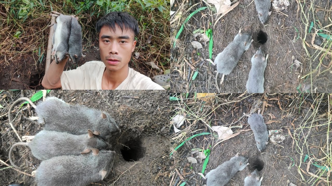 Catching the rats/ Naga traditional lifestyle/@ThongoAKonyak - YouTube
