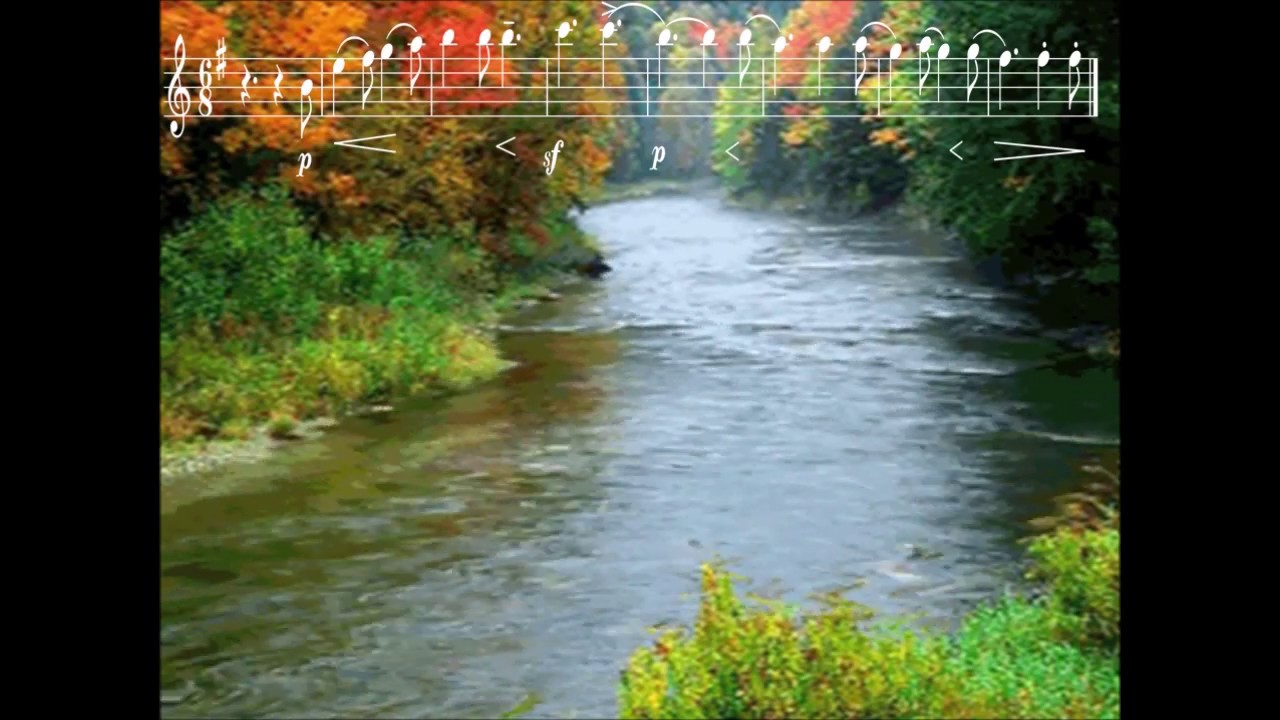 Moldau - B. Smetana (Musicogram) - YouTube