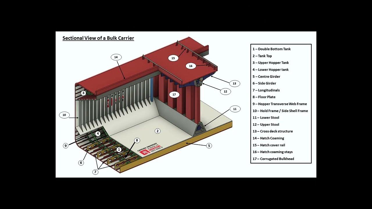 Bulk Carrier Cross Sectional Construction - B.Sc. (Nautical Science) - Chitkara University - YouTube