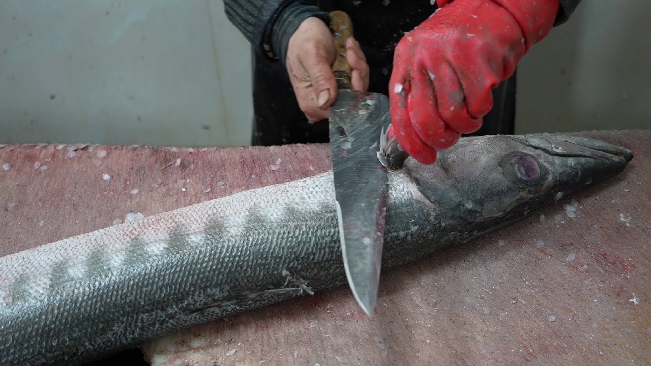 How to Scale, Gut, Clean, Fillet, Skin Whole Barracuda - YouTube