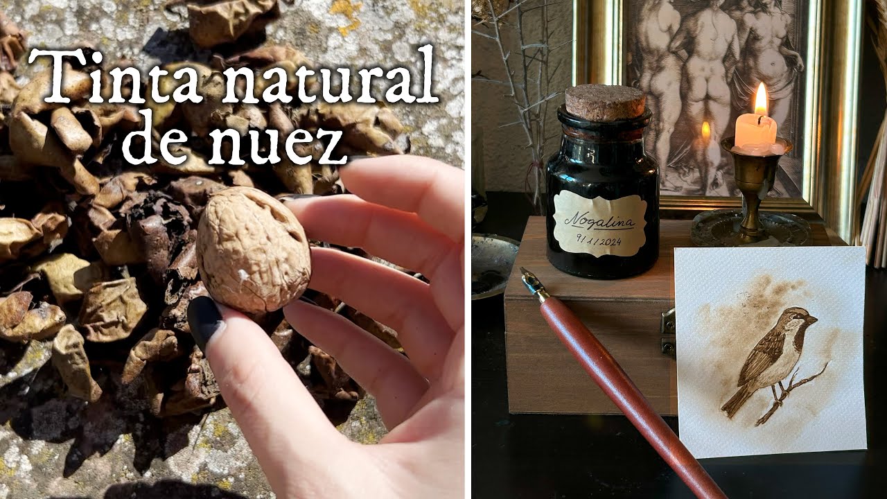 Cómo hacer NOGALINA, TINTA DE NUECES tradicional, natural y fácil - YouTube