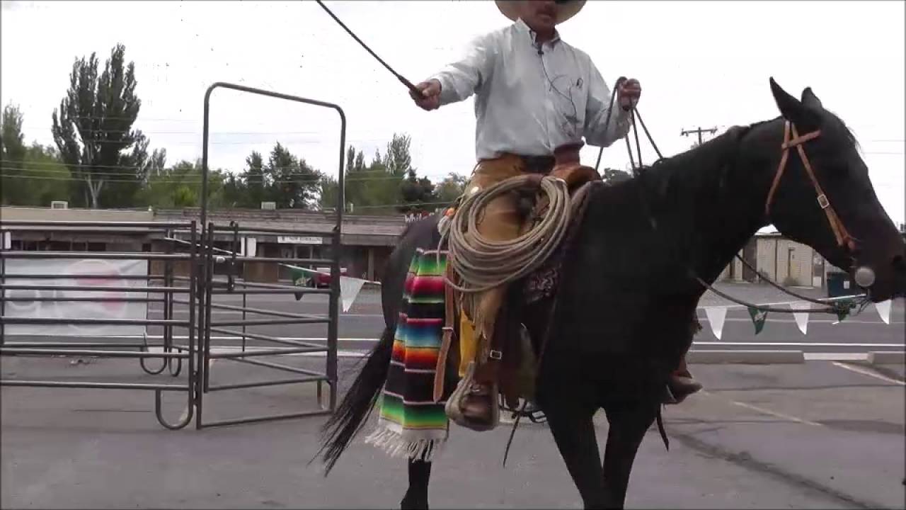 Spanish Vaquero Horsemanship Demonstration - YouTube