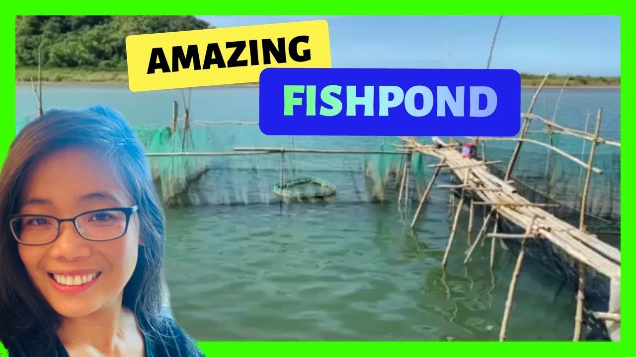 AMAZING FISHPOND || TRAVEL TO PHILIPPINES 🇵🇭 || PINAY WIN USA - YouTube