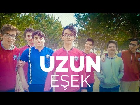 EKİPLE UZUN EŞEK #1