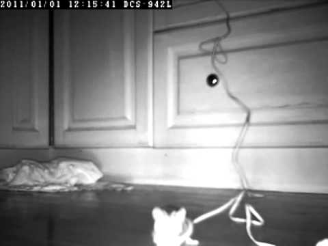 Mouse night vision D-Link DCS-942L - YouTube