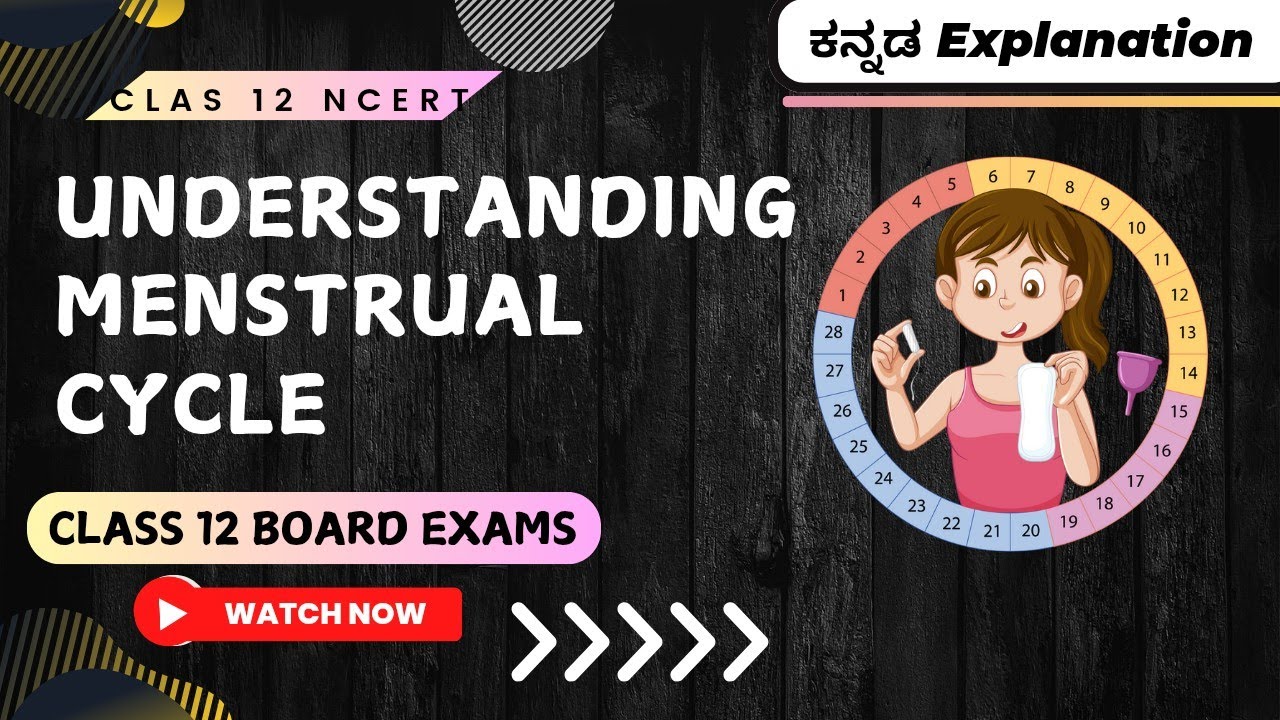 Human Reproduction 04 🔥 Menstrual Cycle class 12 in Kannada - YouTube