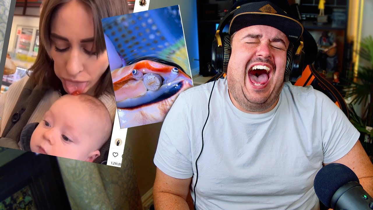 Daz Watches Unbelievable People On Instagram - YouTube