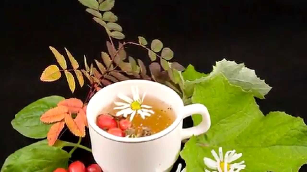 Монастырский чай от алкоголизма, отзывы - YouTube