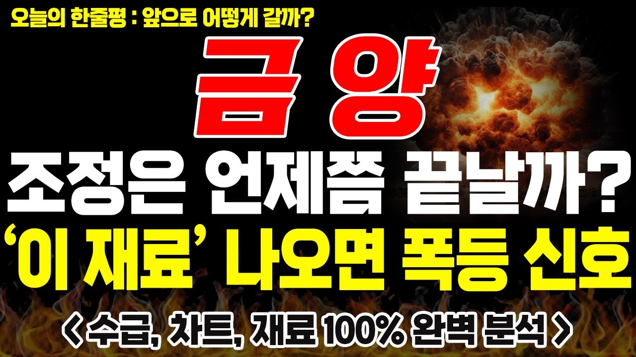 금양 주가전망 🚨긴급🚨조정은 과연 언제쯤 끝날까 이 재료 나오면 폭등 신호 나오고 바로 급등합니다🔥박순혁 2차전지 이차전지 에코프로 에코프로비엠