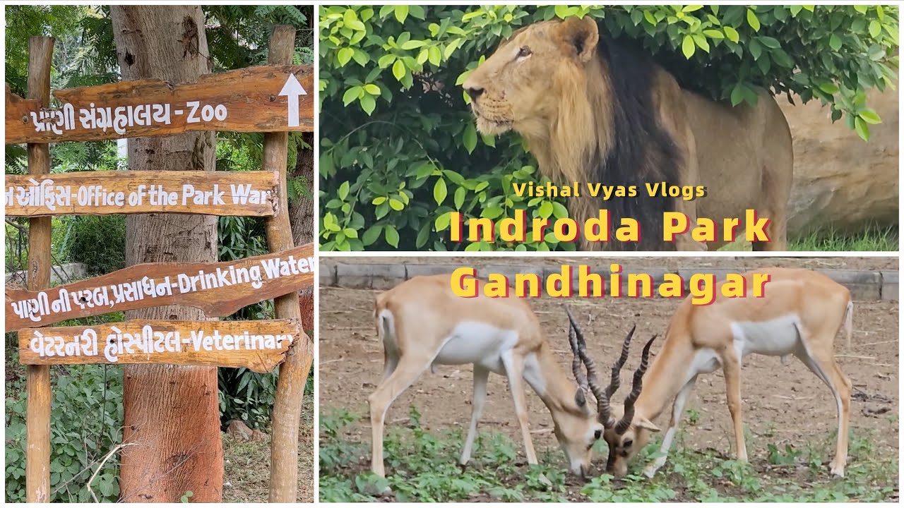 Indroda Nature Park Gandhinagar Gujarat - YouTube