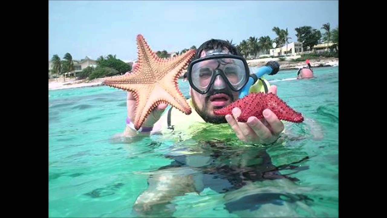 Cuba, caimán del caribe - YouTube