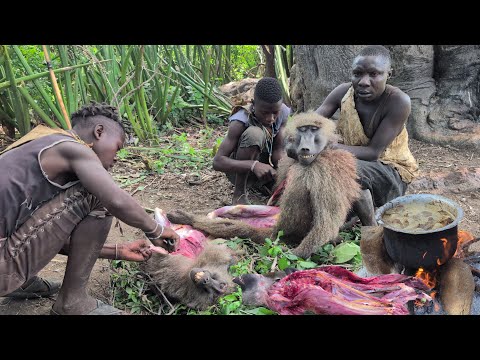 Discover Eating Wild Baboon, With Hadzabe tribe Bushmen.