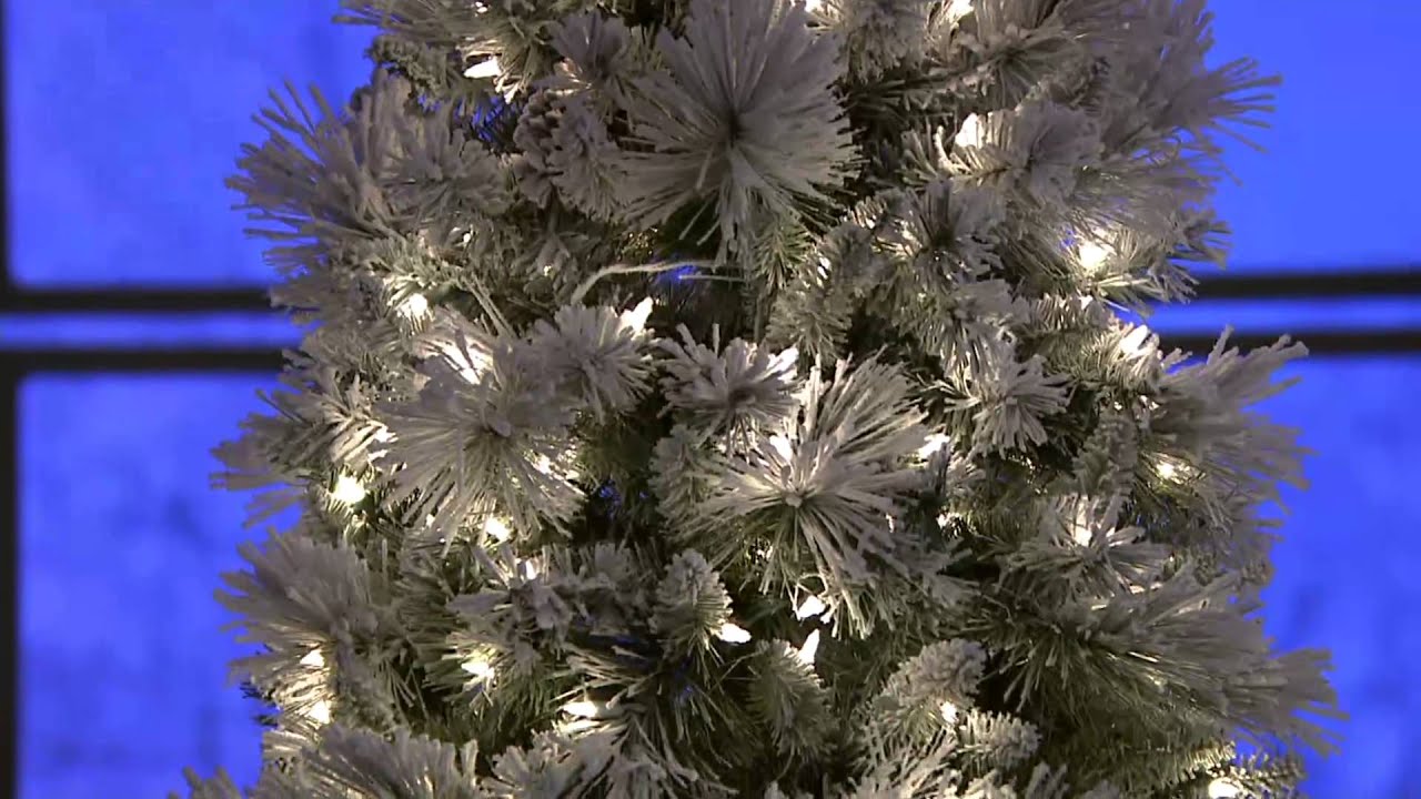 Kringle Express Flocked Winter Slim Christmas Tree on QVC - YouTube