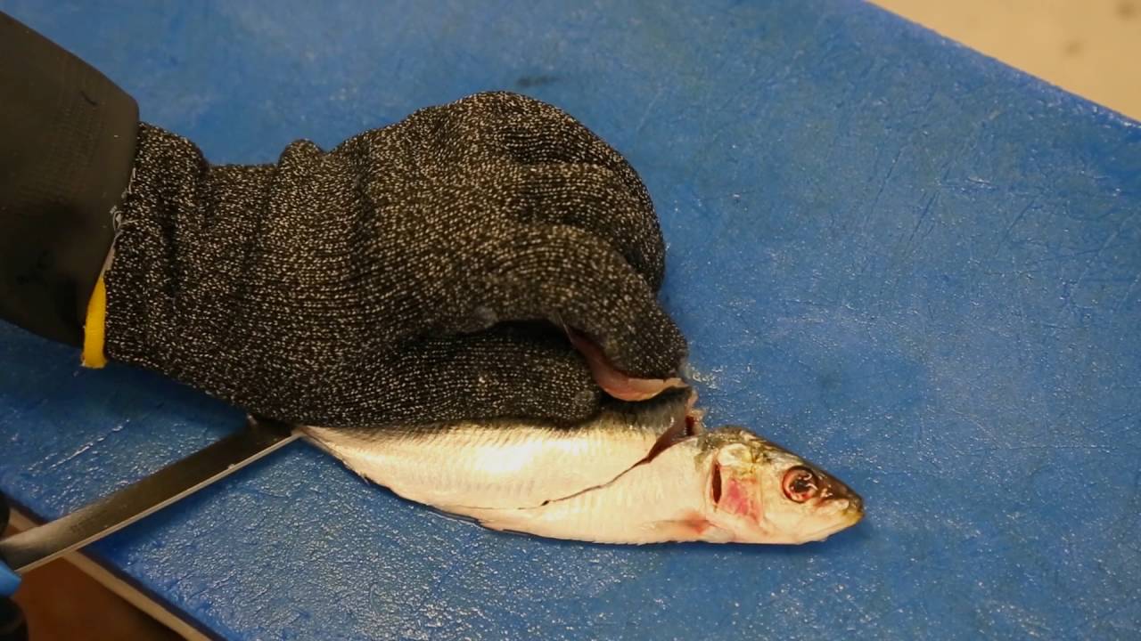 Direct Seafoods: How to Butterfly Fillet a Sardine - YouTube