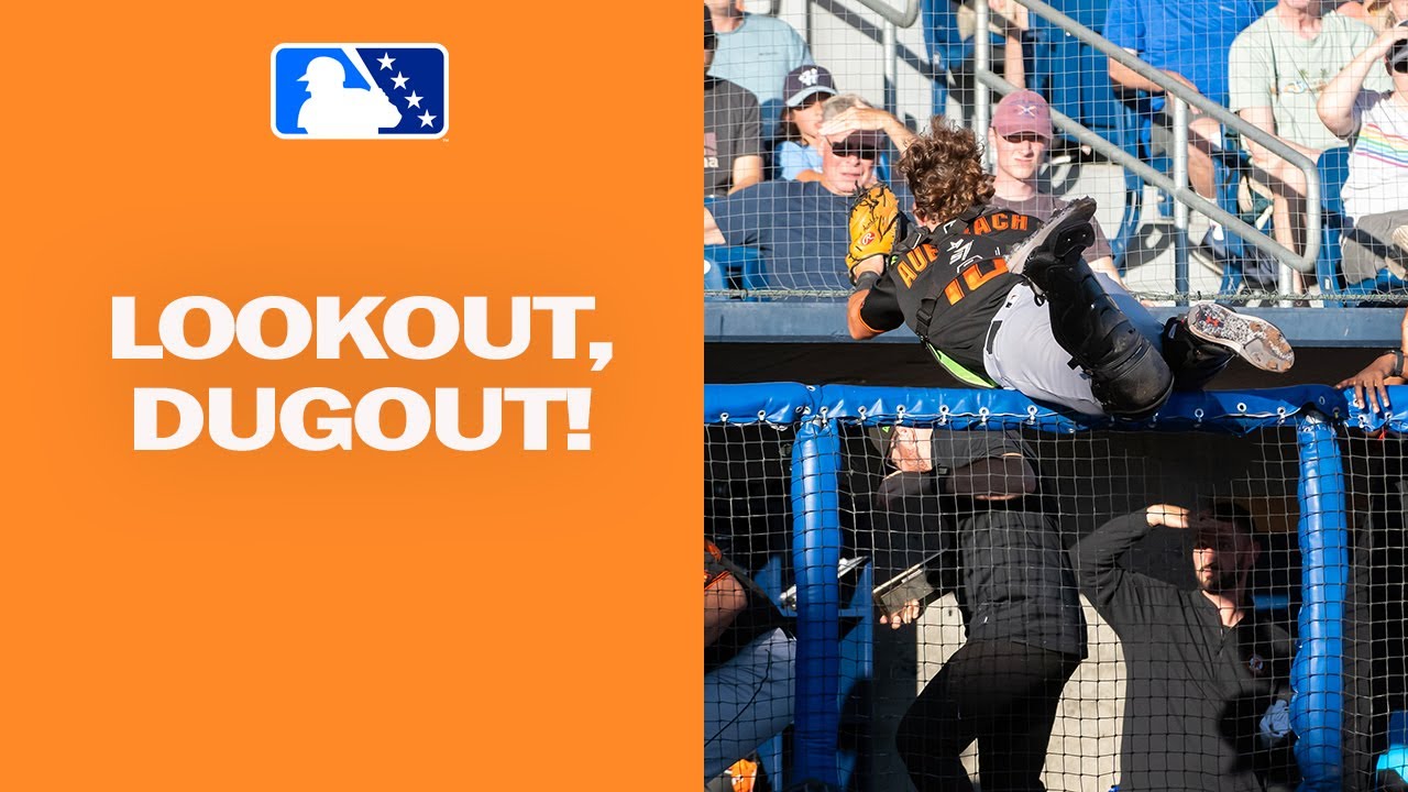 Brett Auerbach's over-the-railing catch | 2023 Minor League Highlights ...