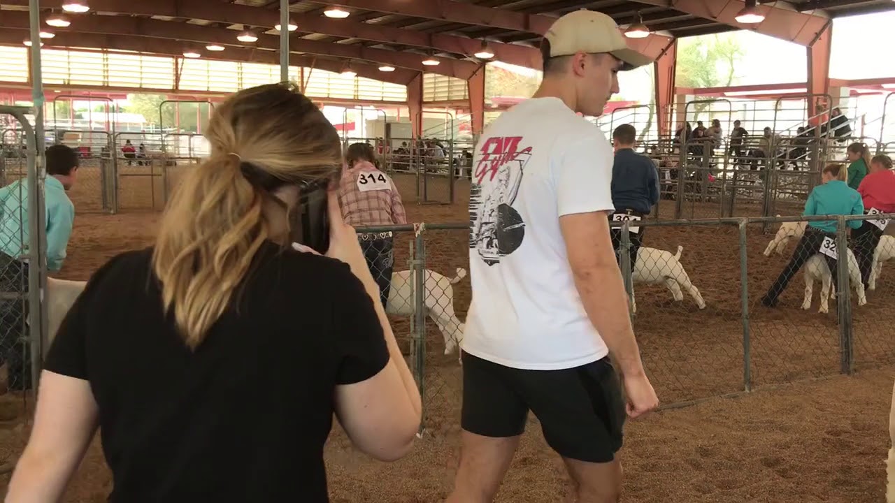 SAILA SHOW 2018 - YouTube