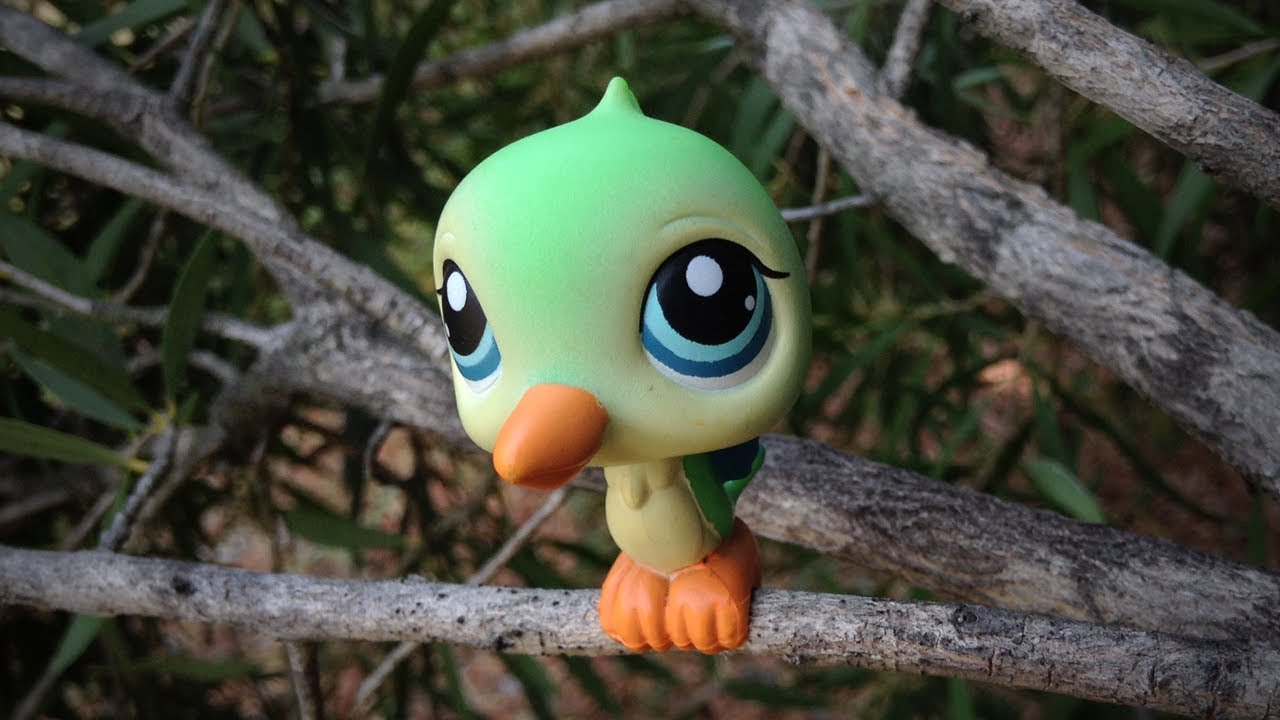 LPS: Summer Photoshoot 2014! - YouTube