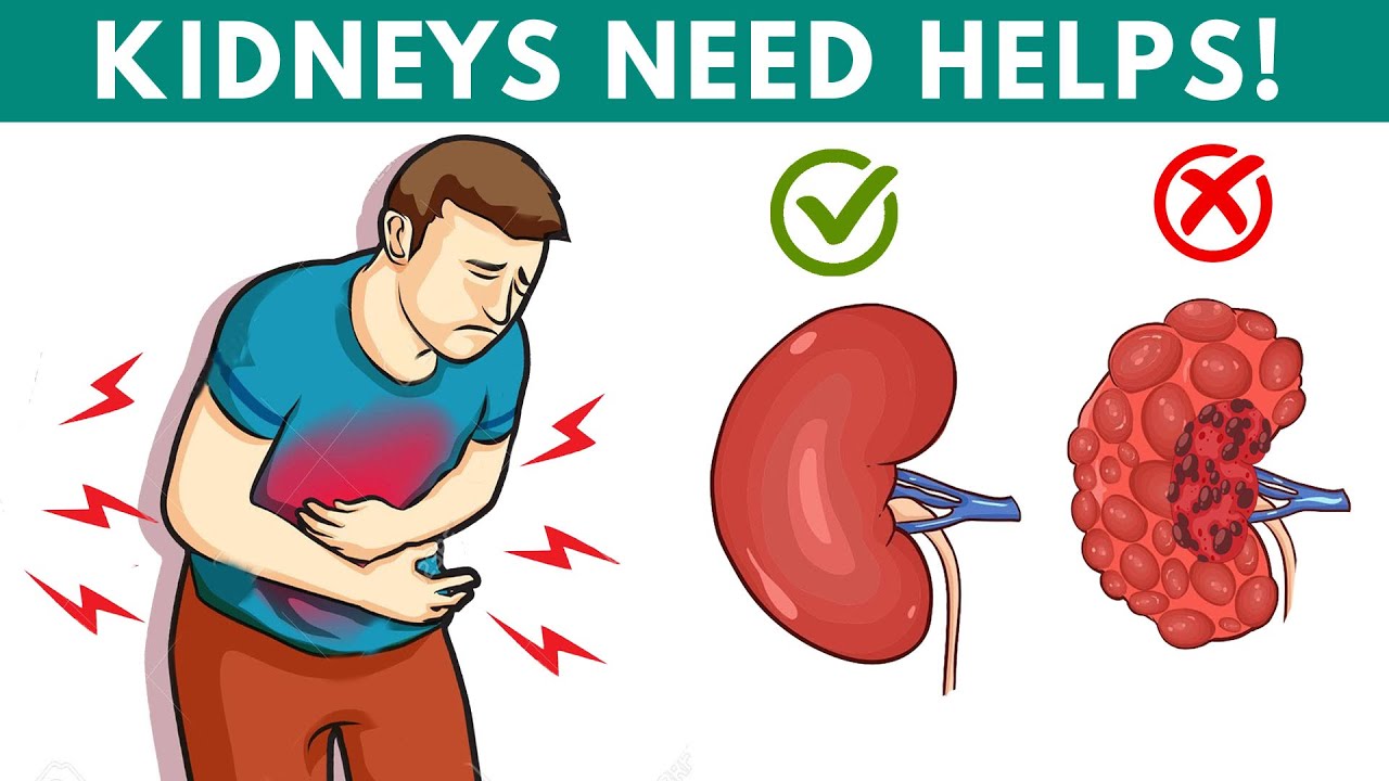 7 Signs Your Kidneys Are Crying for Help - YouTube