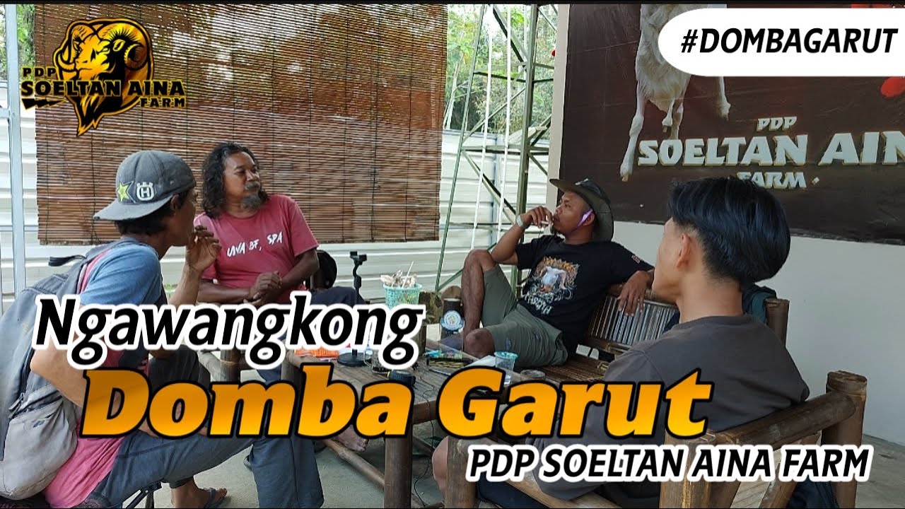 Ngawangkong Perkara Domba Di Pdp Soeltan Aina Farm - YouTube