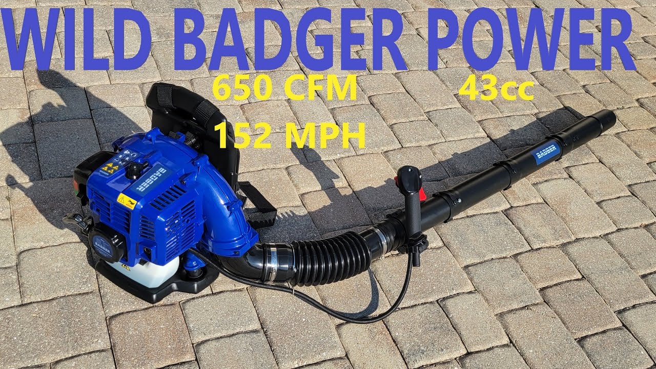 Wild Badger 43cc Backpack Leaf Blower review - YouTube