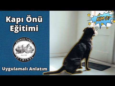 Köpeklerde Kapı Önü Eğitimi - Heyecanını Nasıl Kontrol Edebiliriz? - Uygulamalı Anlatım